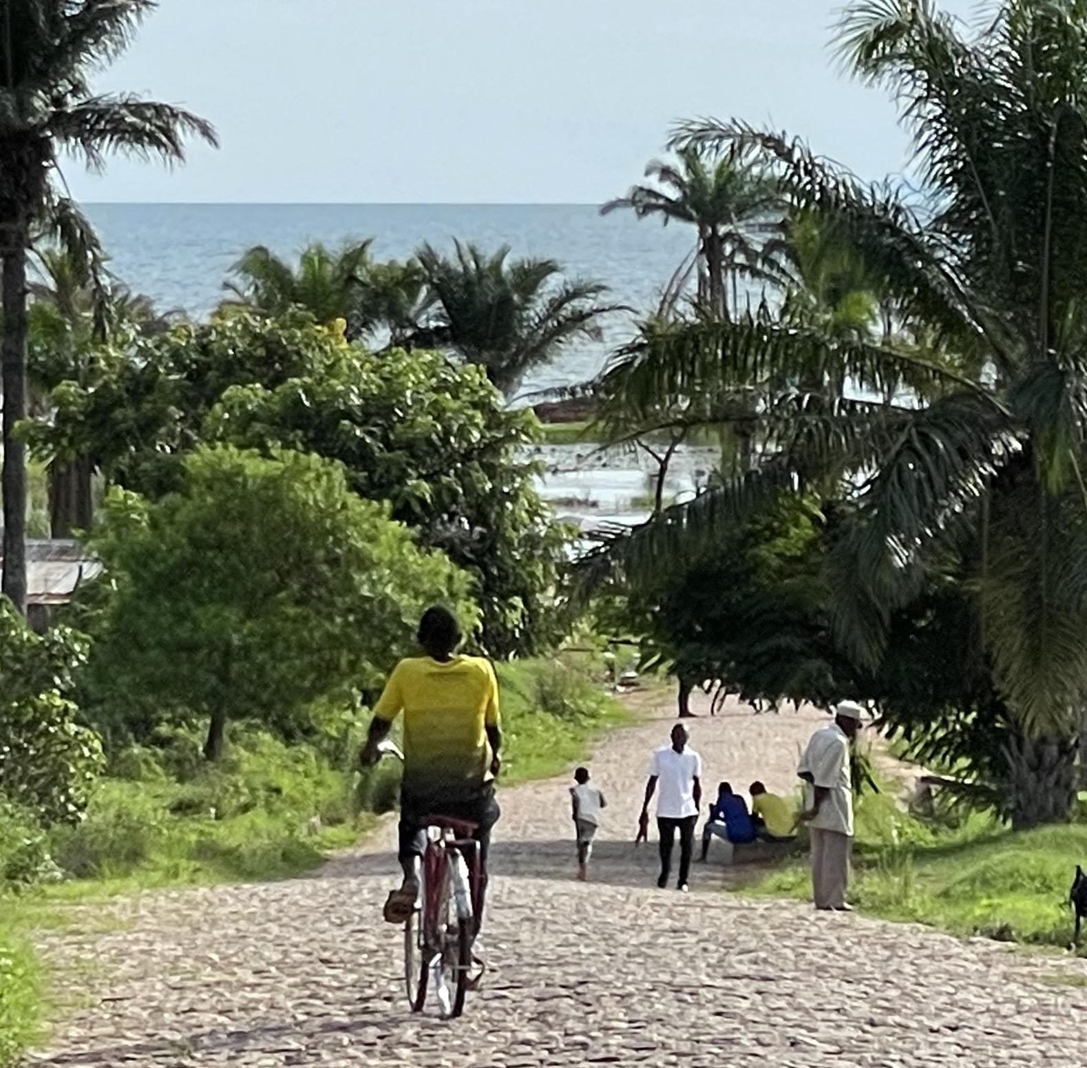 Livingstone and Ujiji – British Expat in Africa, China and places in ...