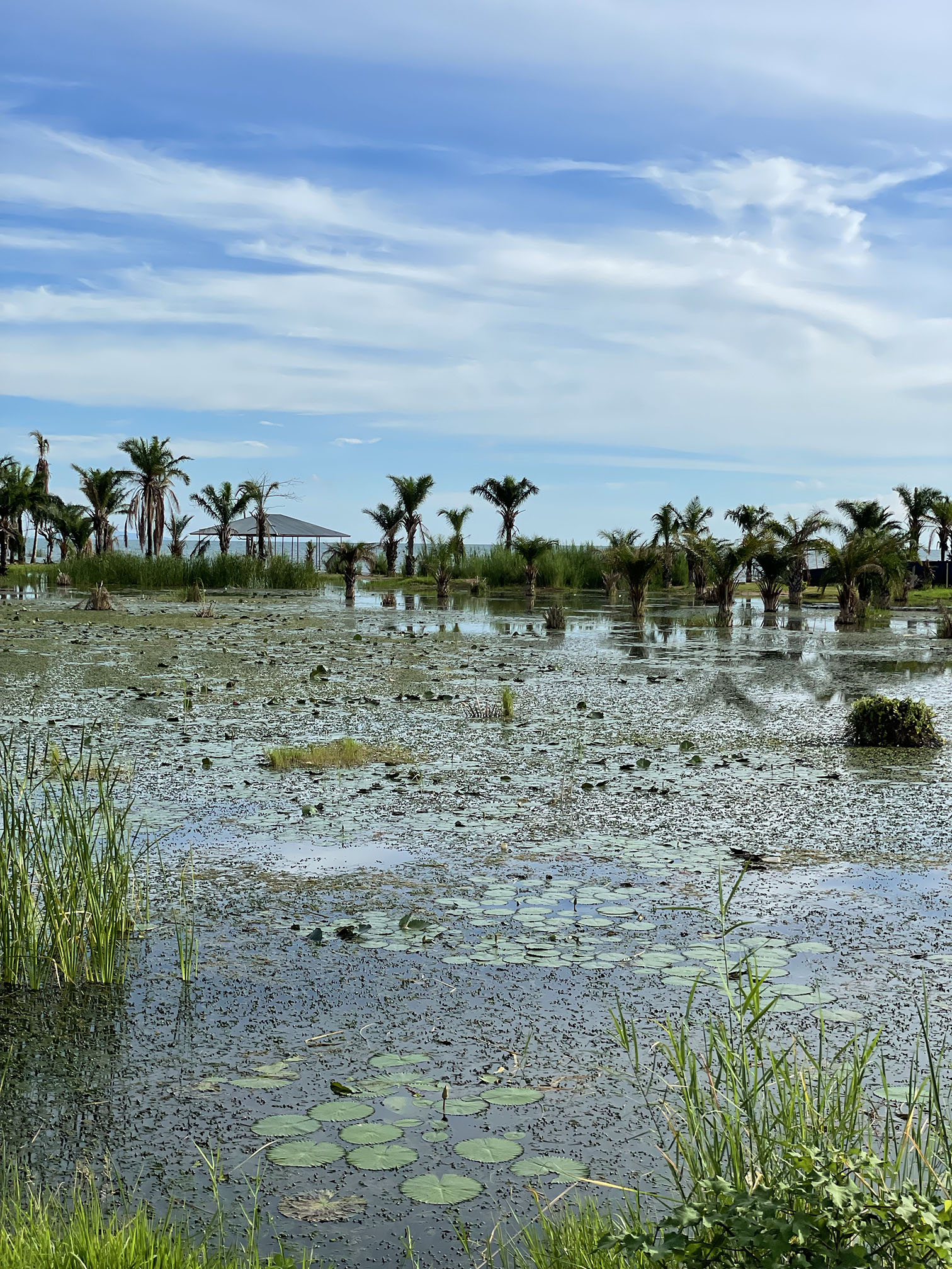 Livingstone and Ujiji – British Expat in Africa, China and places in ...